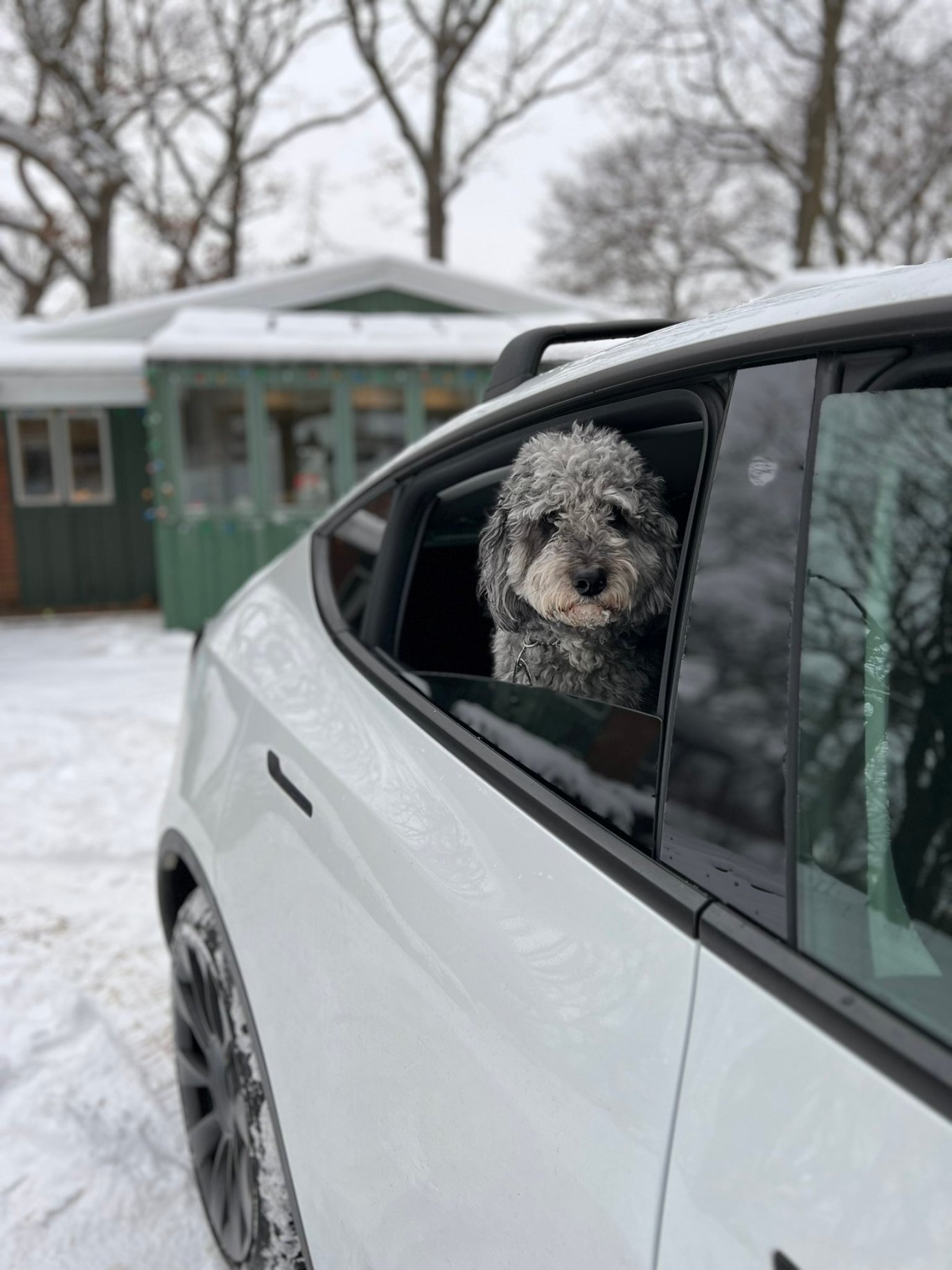 Take a Spring Road Trip in Your Beautiful Tesla