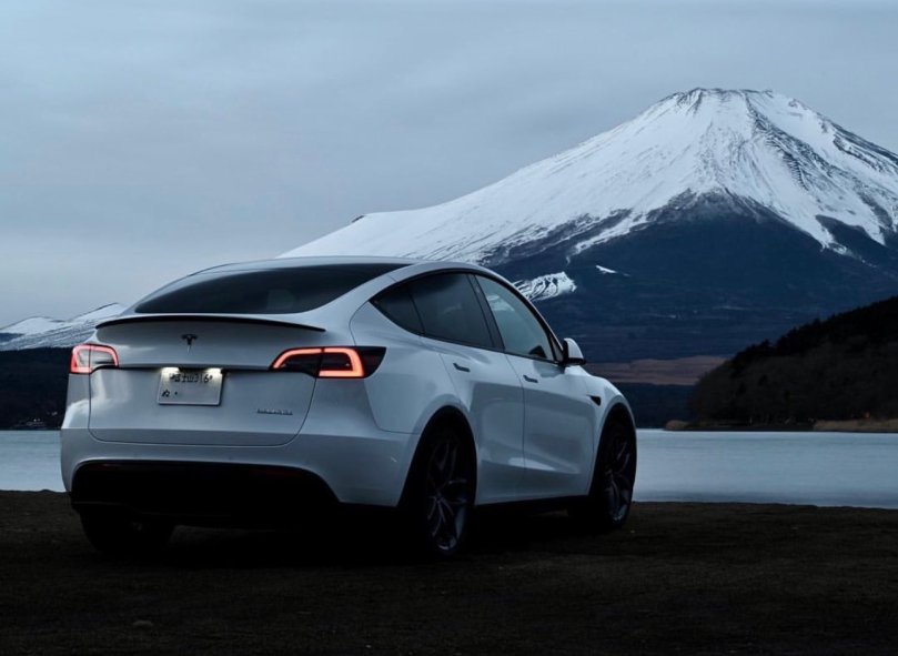 Tesla Earth Day 2023 Winners